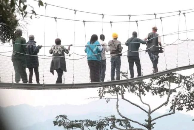Zipline and rope course: New tourism products in Nyungwe national park ...