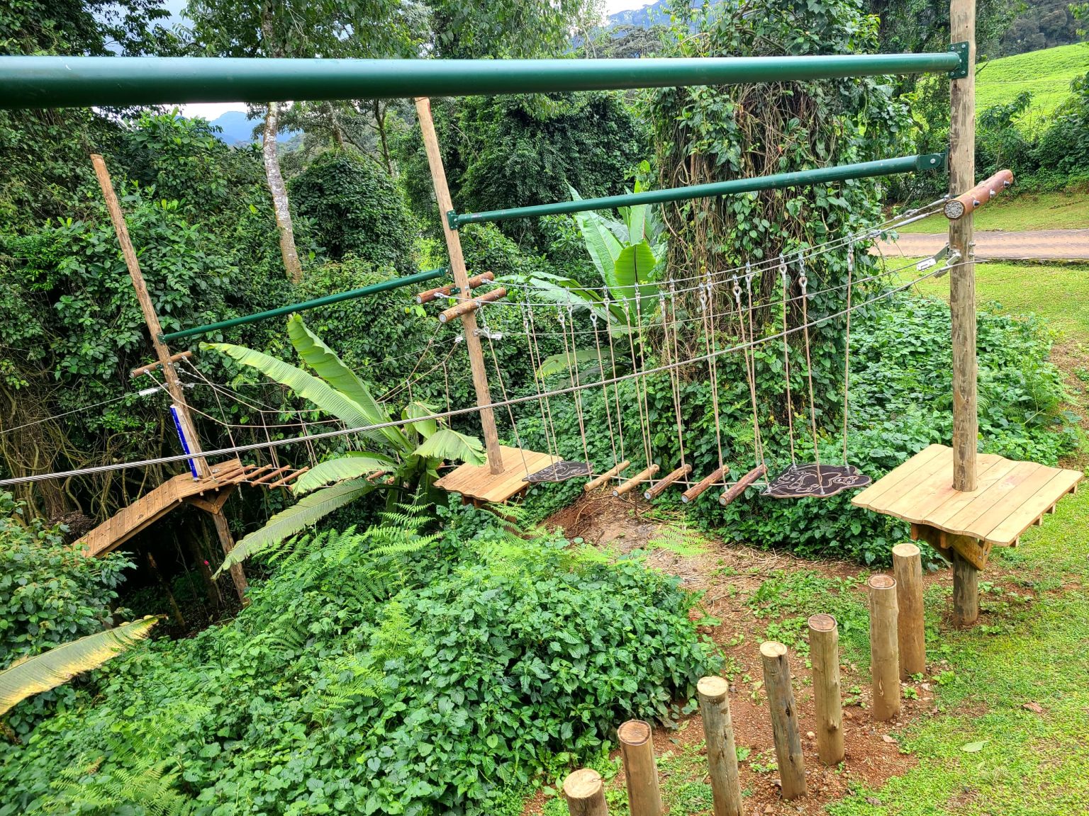 Zipline and rope course: New tourism products in Nyungwe national park ...