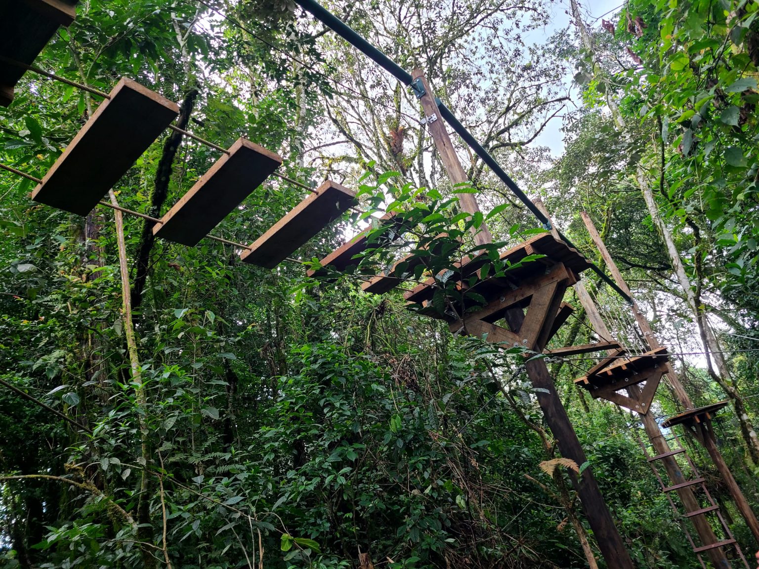 Zipline and rope course: New tourism products in Nyungwe national park ...